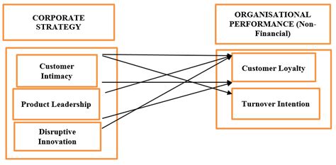Conceptualoperational Framework Showing Relationship Between Corporate