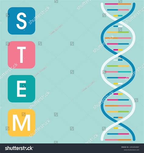Stem Science Technology Engineering Mathematics Vector Stock Vector Royalty Free 2291854087