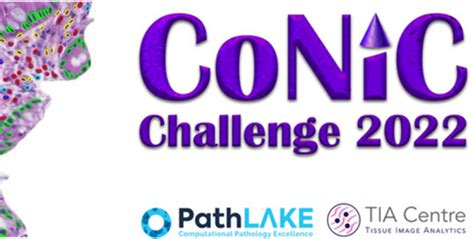 Conic Challenge Dataset Kaggle