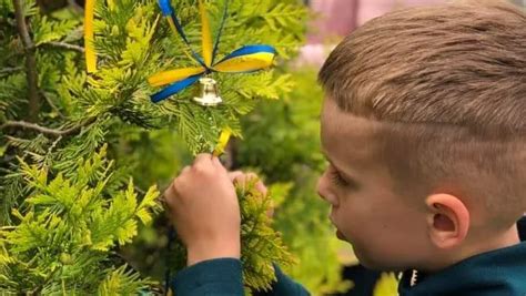 У Сарнах на деревах розвішували дзвіночки в память про вбитих росією українських дітей