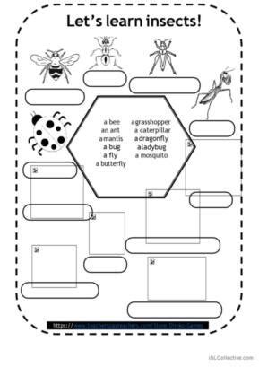Insects Interactive Worksheet For 3 Worksheets Library