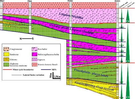 Third Transect Tiii N S Of Correlation And Mapping Of Genetic