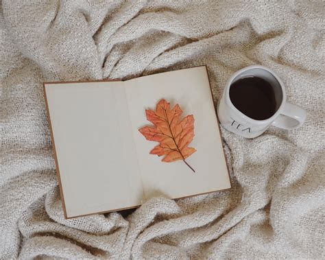 100000 Free Book Withh Leaf And Book Images Pixabay