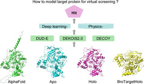 Evaluation Of Alphafold2 Structures For Hit Identification Across