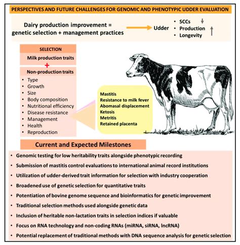 Scheme Of The Perspectives And Future Challenges For Genomic Download Scientific Diagram