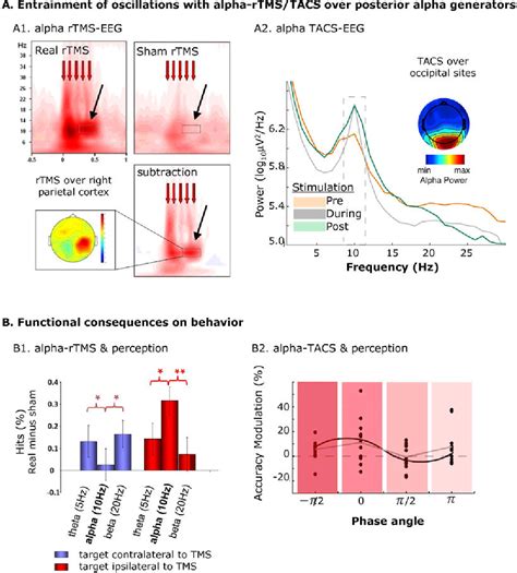 Figure 3 From Guiding Transcranial Brain Stimulation By Eegmeg To Interact With Ongoing Brain