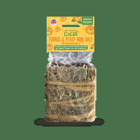 Excel Forage And Feast Mini Bale Bundle Burgess Pet Care