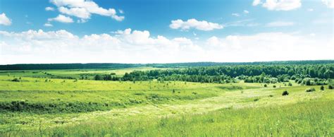 Агроферма-Катынь
