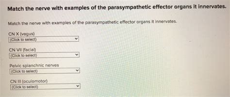 Solved Match The Nerve With Examples Of The Parasympathetic Chegg Com