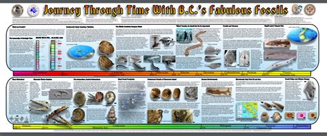 Home BC Paleontological Alliance