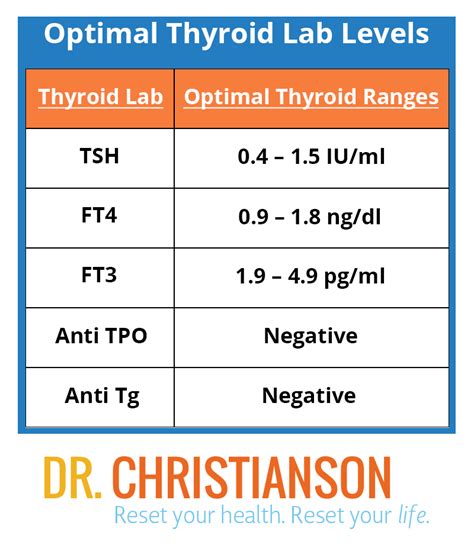 Update Testing Your Thyroid And The Definitive Guide To Optimal Ranges Artofit