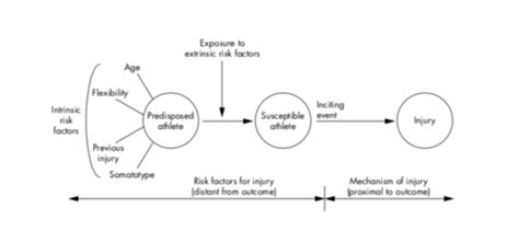 Lecture 11 Physical Performance Tests In Sport Flashcards Quizlet
