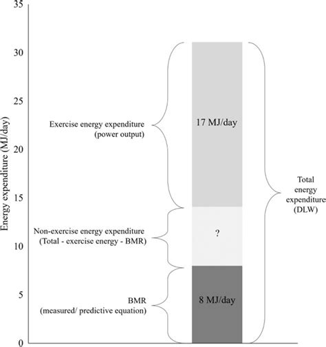 Calculating Energy Expenditure In Professional Cyclists Using Data Validation Against Doubly