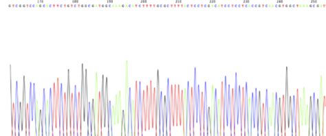 Genetics Problem Set 3 Flashcards Quizlet