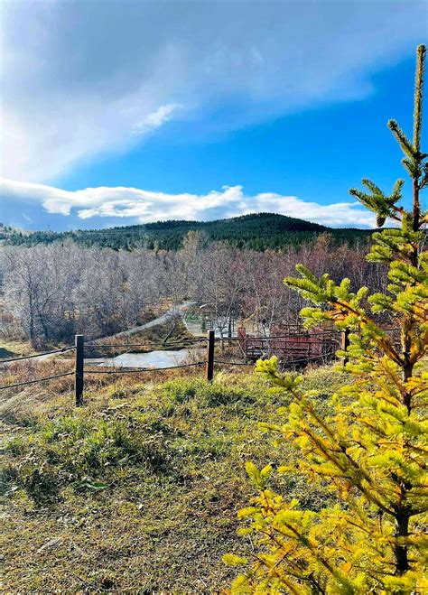 💎💎💎 Болор ойгоос өглөөний мэнд ХУСХАН эх хүүхдийн амралт