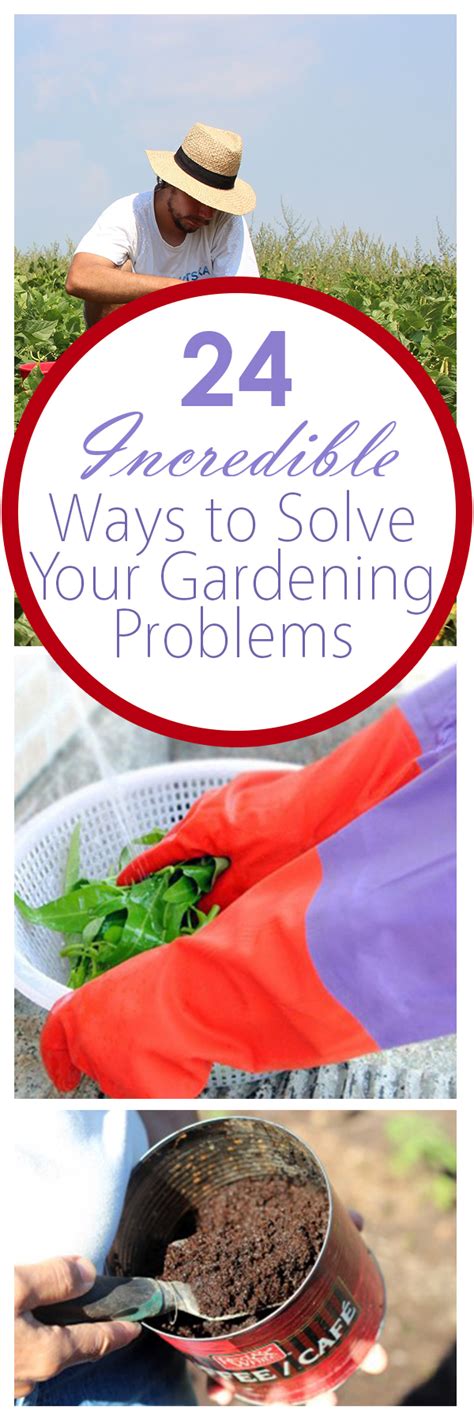 24 Incredible Ways To Solve Your Gardening Problems — Bees And Roses Gardening Tips And Hacks