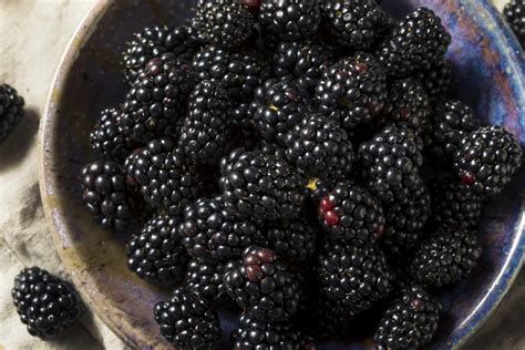How To Wash Blackberries To Keep Them Fresh Longer