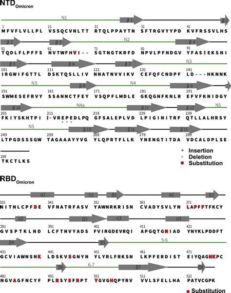 Structural And Functional Characterizations Of Infectivity And Immune Evasion Of Sars Cov 2