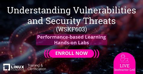the linux foundation on linkedin understanding vulnerabilities and
