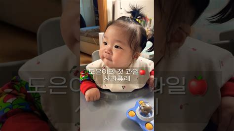 6개월 아기의 첫 과일 사과퓨레 초기 이유식 과일 Youtube