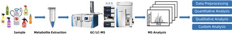 Pesticide Metabolomics Analysis Services Mtoz Biolabs