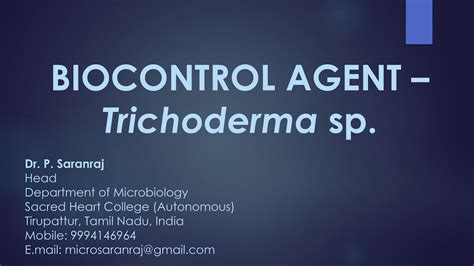 Biocontrol Agent Trichoderma Sp Youtube