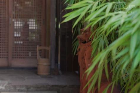 「七嶋舞」の無料動画 166本【無料av動画】