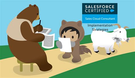 Salesforce Sales Cloud Consultant Exam Preparation Implementation