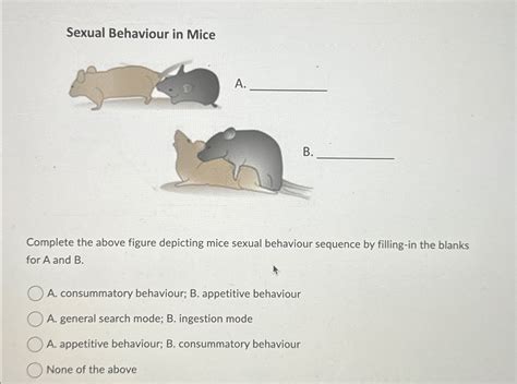 Solved Sexual Behaviour In Miceacomplete The Above Figure