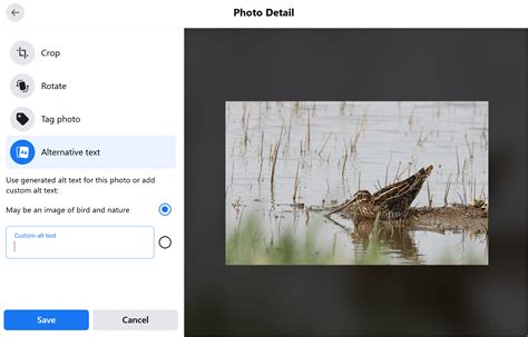 How To Add Alternative Text To Facebook Photos Lireo Designs
