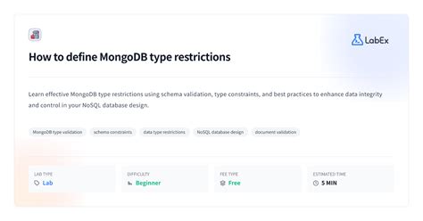 How To Define Mongodb Type Restrictions Labex