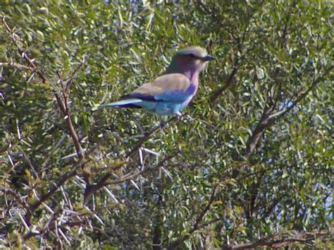 2023年mabula Private Game Reserve旅游攻略 7mabula Private Game Reserve酒店 景点 门票 美食 自助游 自驾 自由行 游玩攻略