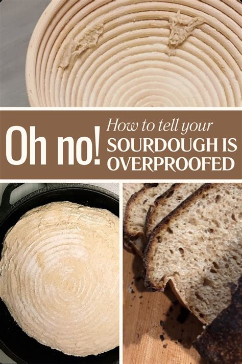 How To Tell When Your Sourdough Is Overproofed Homemade Sourdough