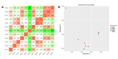 preprocessing of data and sample distances a correlation matrix