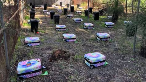 Worlds Largest Simulation Of Dead Bodies In Suitcases Will Report Its