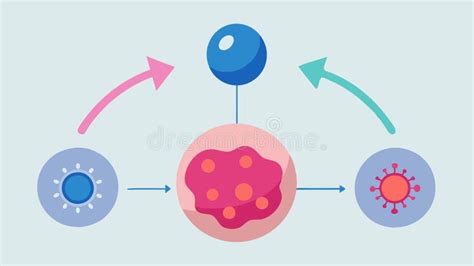 Growth Factor Release An Exosome Labeled As Growth Factor Carrier Showing Arrows Directed