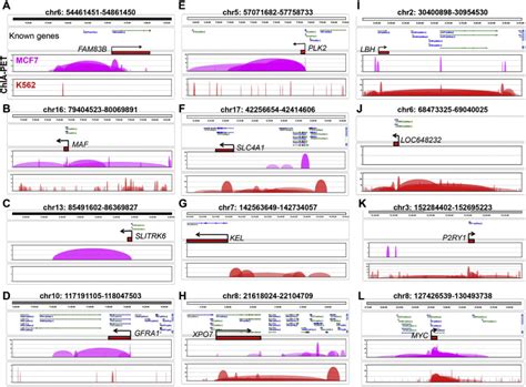 Extensive Promoter Centered Chromatin Interactions Provide A