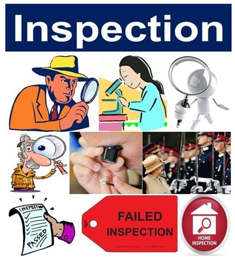 What Is Inspection In Health Assessment At Ralph Livingston Blog