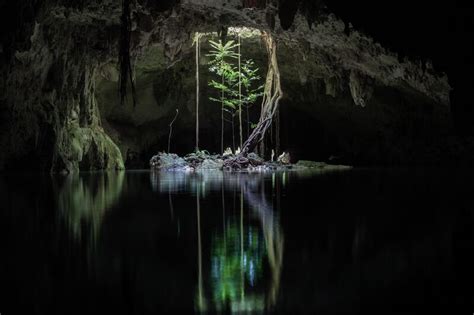 Michael Hewitt En Linkedin Cybersecurity Pto Apple Espresso