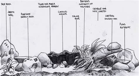 Eye Like Drawing Fish Tank Layout I