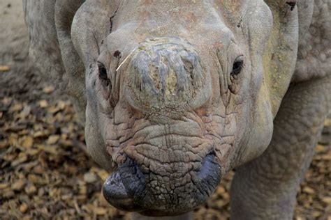 Anna Drumm Tiergarten Schönbrunn