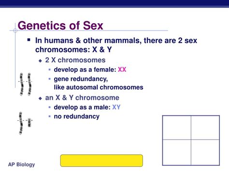PPT Beyond Mendels Laws Of Inheritance PowerPoint Presentation Free Download ID