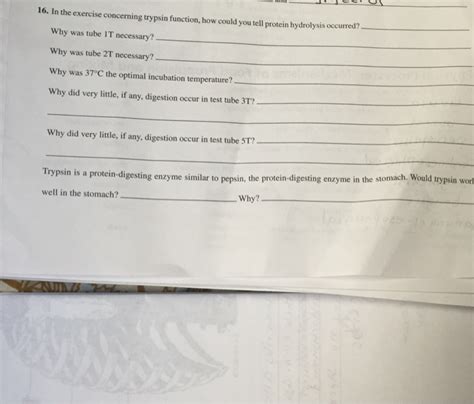 Solved In The Exercise Concerning Trypsin Function How
