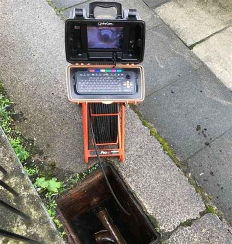 Drain Tree Root Removal Services Tree Root Removal