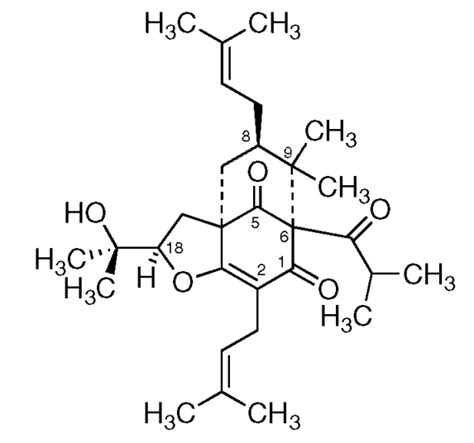 Solved Circle Functional Groups Present In The Molecule And