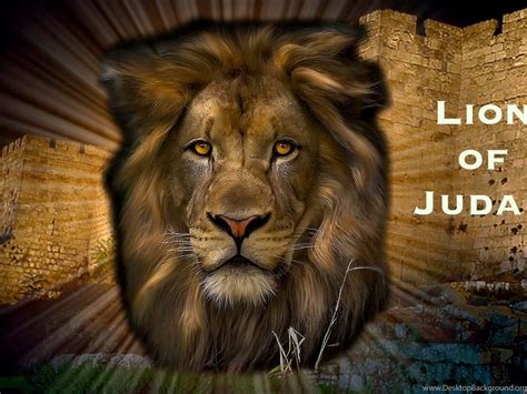Lion Of The Tribe Of Judah Wallpapers Wallpaper Cave