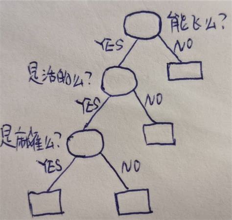 分类与回归树（cart）：核心 知乎
