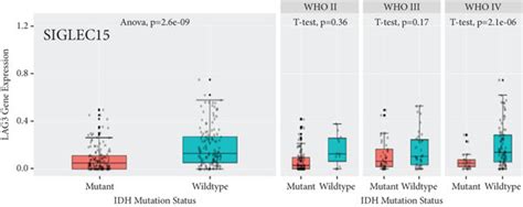 Association Of Idh Mutation Status And Immune Checkpoint Gene
