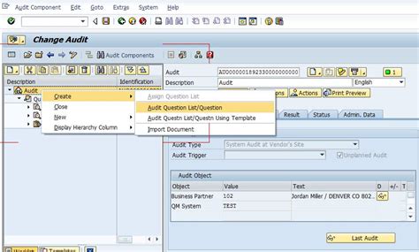 Screen Enhancement In Audit Management Sap Community