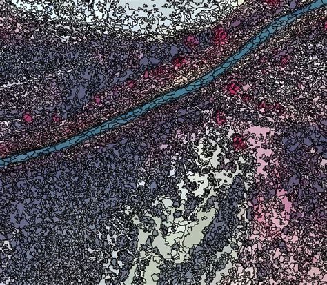 Image Objects Created Through Multiresolution Image Segmentation